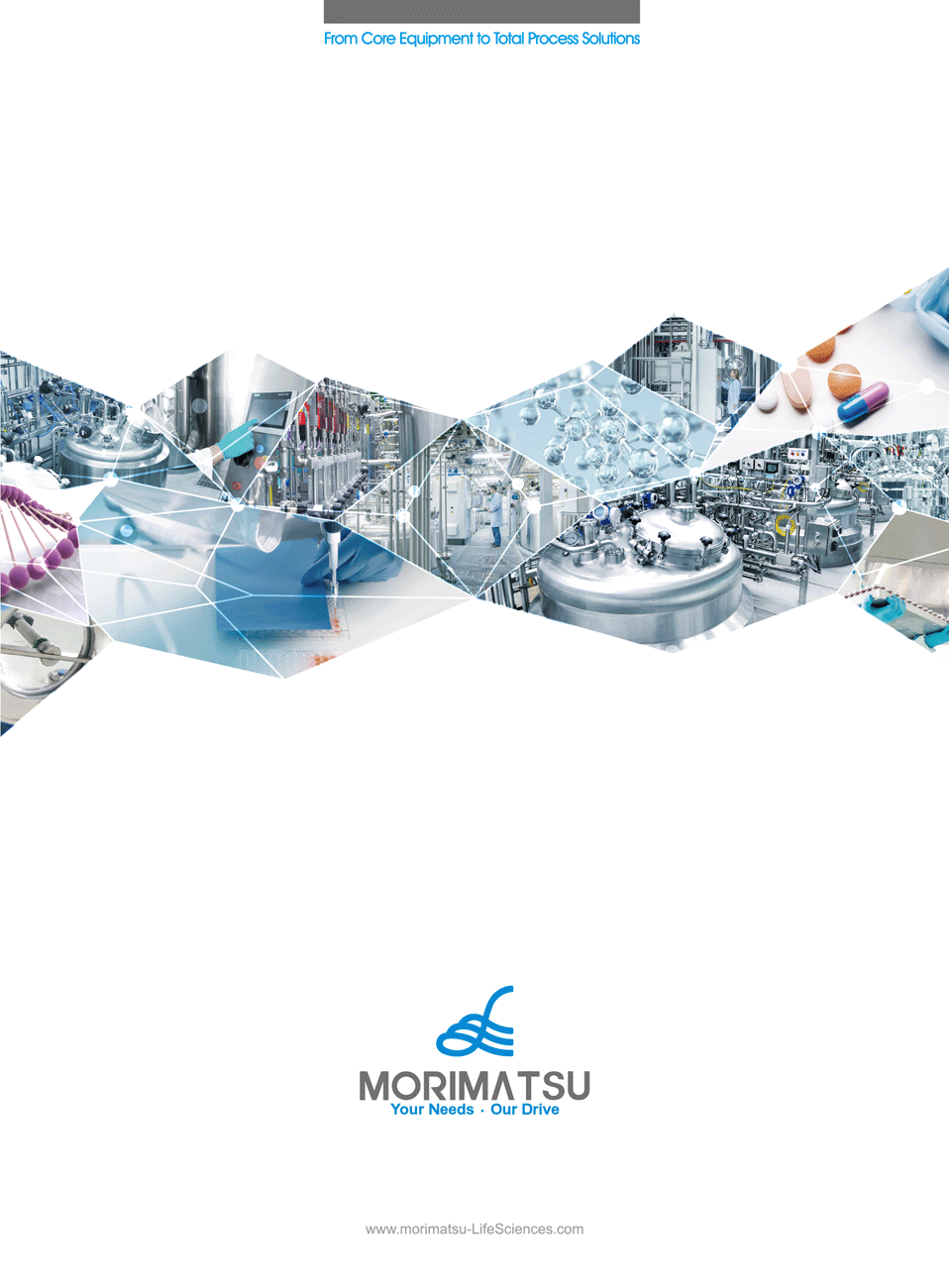 Morimatsu LifeSciences-Company Brochure-Morimatsu LifeSciences